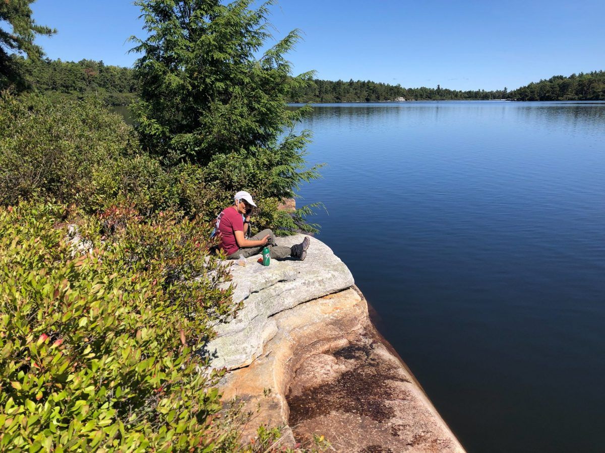 Awosting Reserve, Scenic Trail, Lake Awosting, & Mud Pond - Albany ...